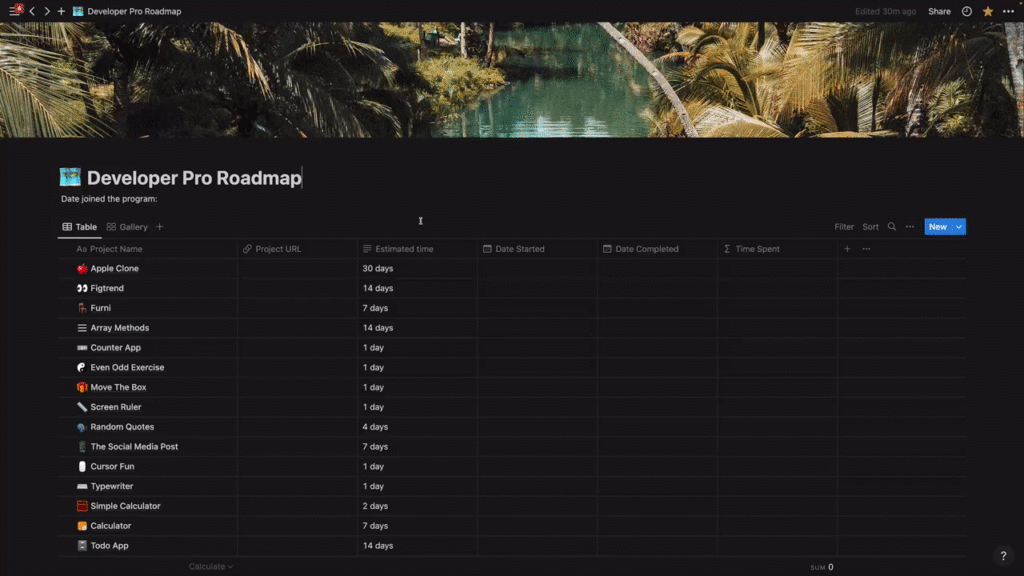 Clone the roadmap - Start here · Developer Pro